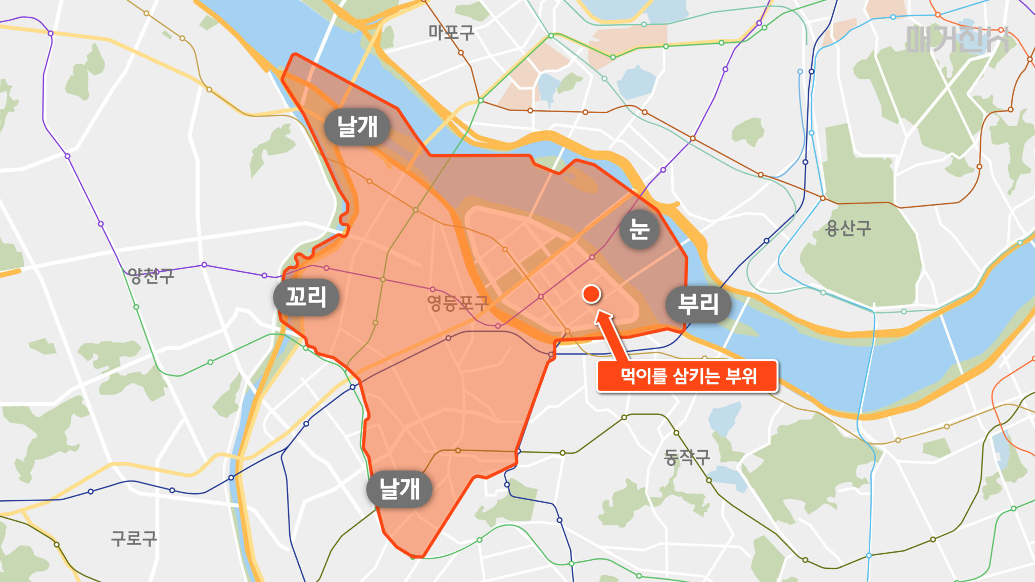 풍수지리학자가 본 여의도 한양아파트의 가치 풍수지리로 명당을 찾아서 여의도 한양아파트 편 현대건설 매거진h
